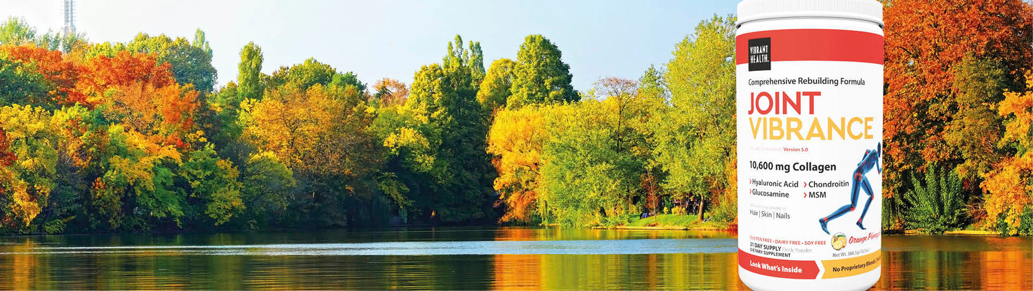 Supplements for Joints | Bone Health Supplements | High Quality